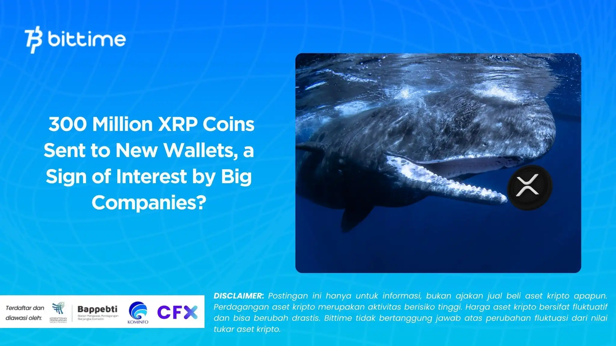 300 Million XRP Coins Sent to New Wallets, a Sign of Interest by Big ...