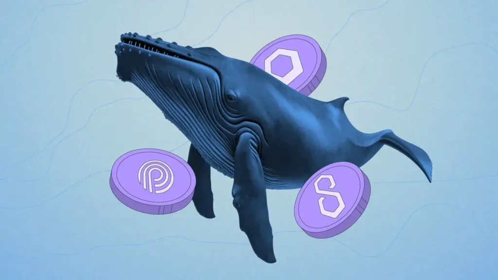The 5 Biggest Crypto Whales and How to Track Their Transactions