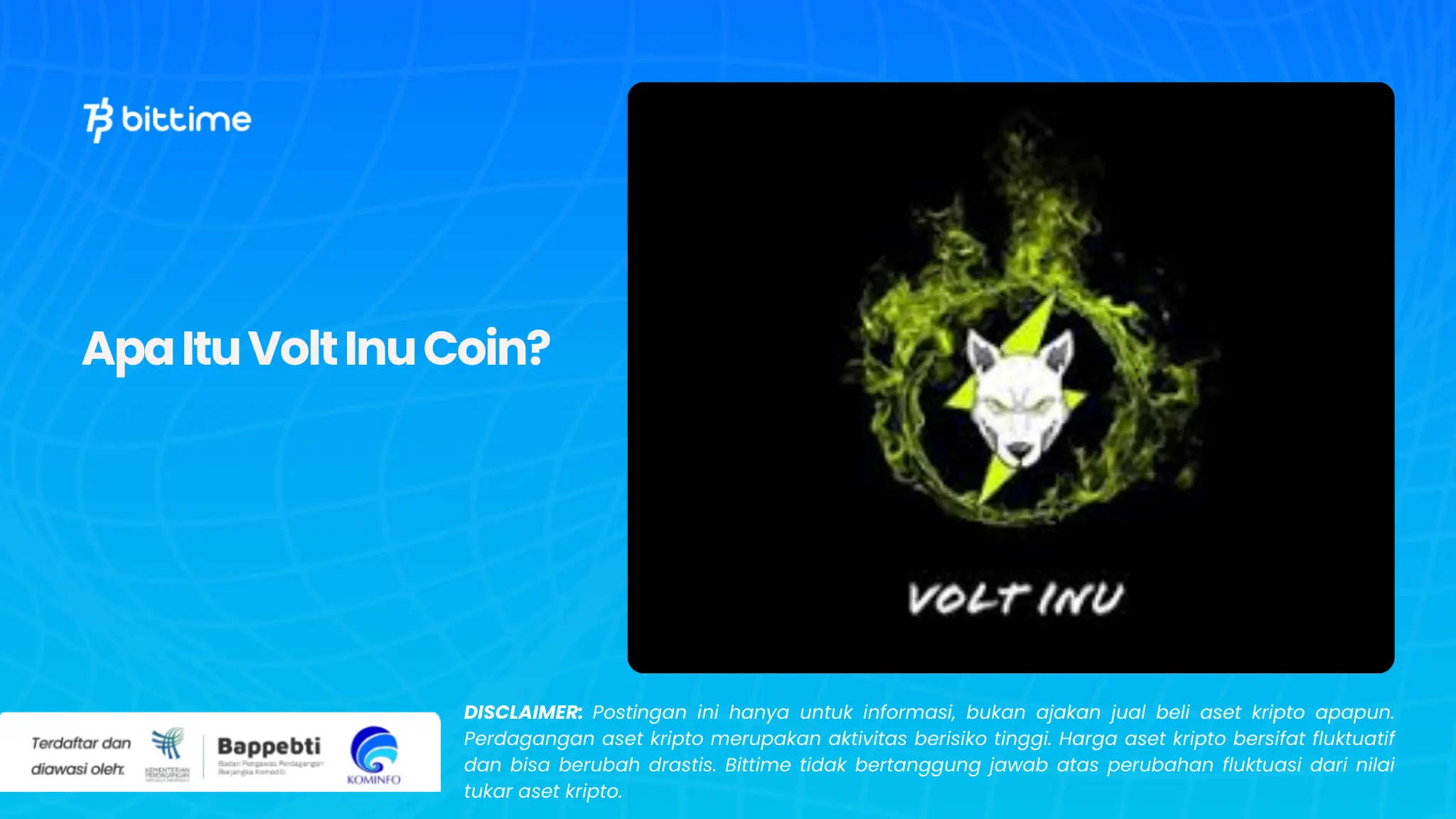 Apa Itu Volt Inu Coin?