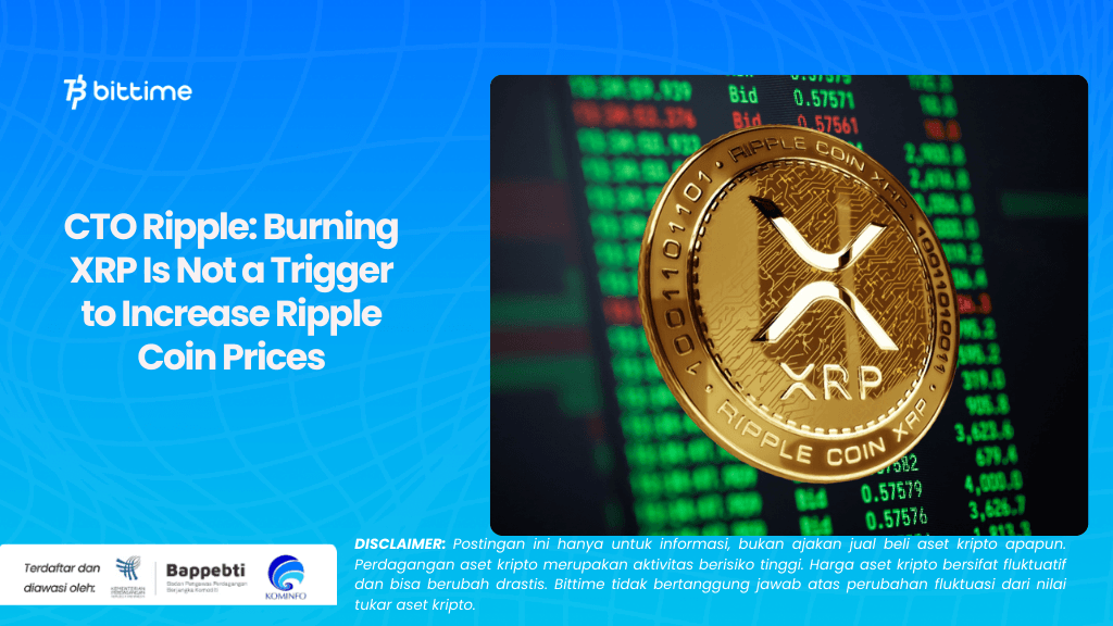 CTO Ripple: Burning XRP Is Not to Increase Ripple Prices