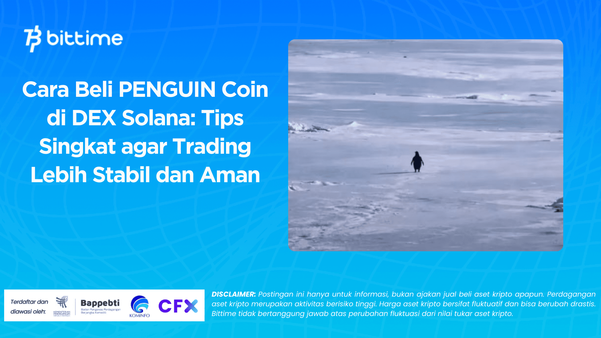Cara Beli PENGUIN Coin di DEX Solana