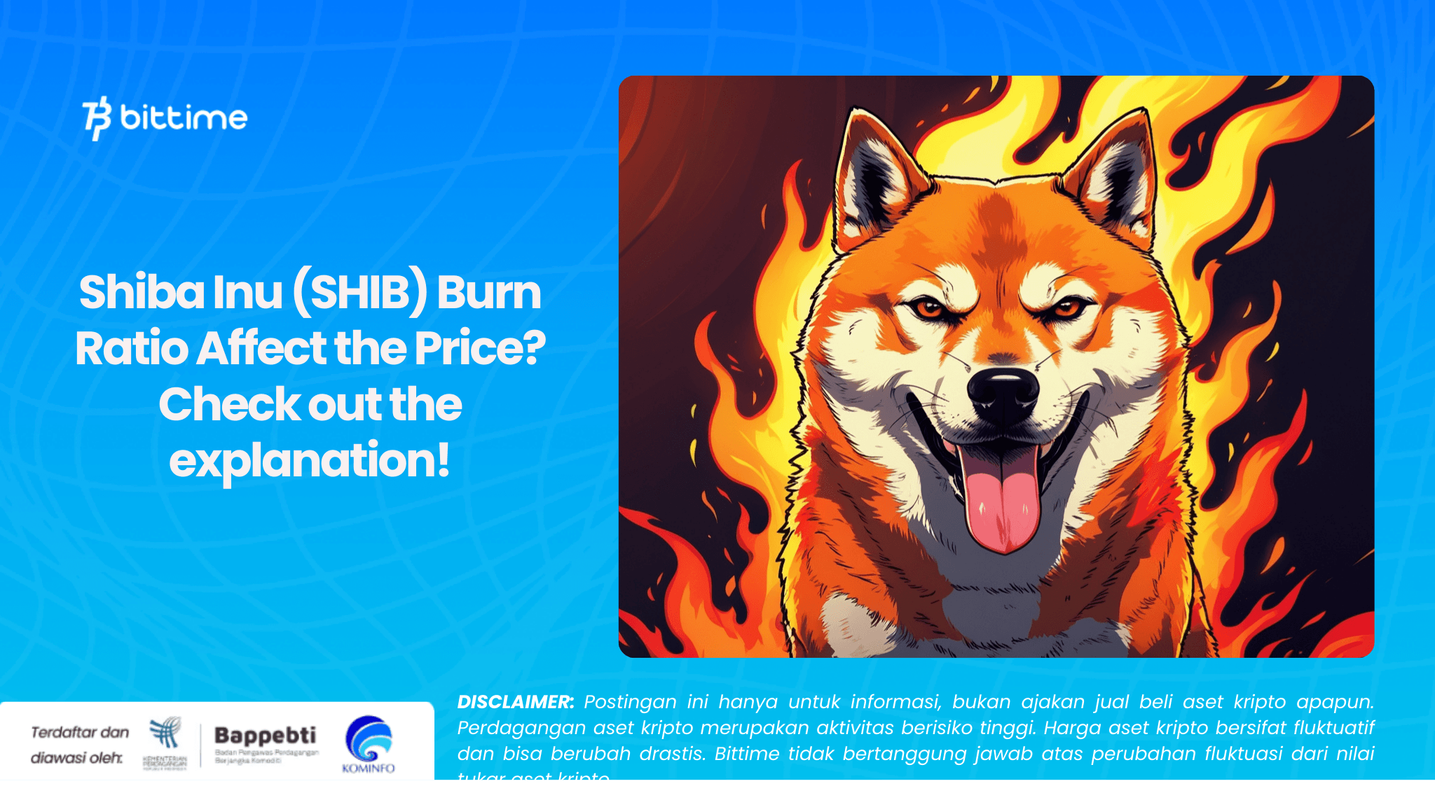 Shiba Inu (SHIB) Burn Ratio Affect the Price? Check out the explanation!